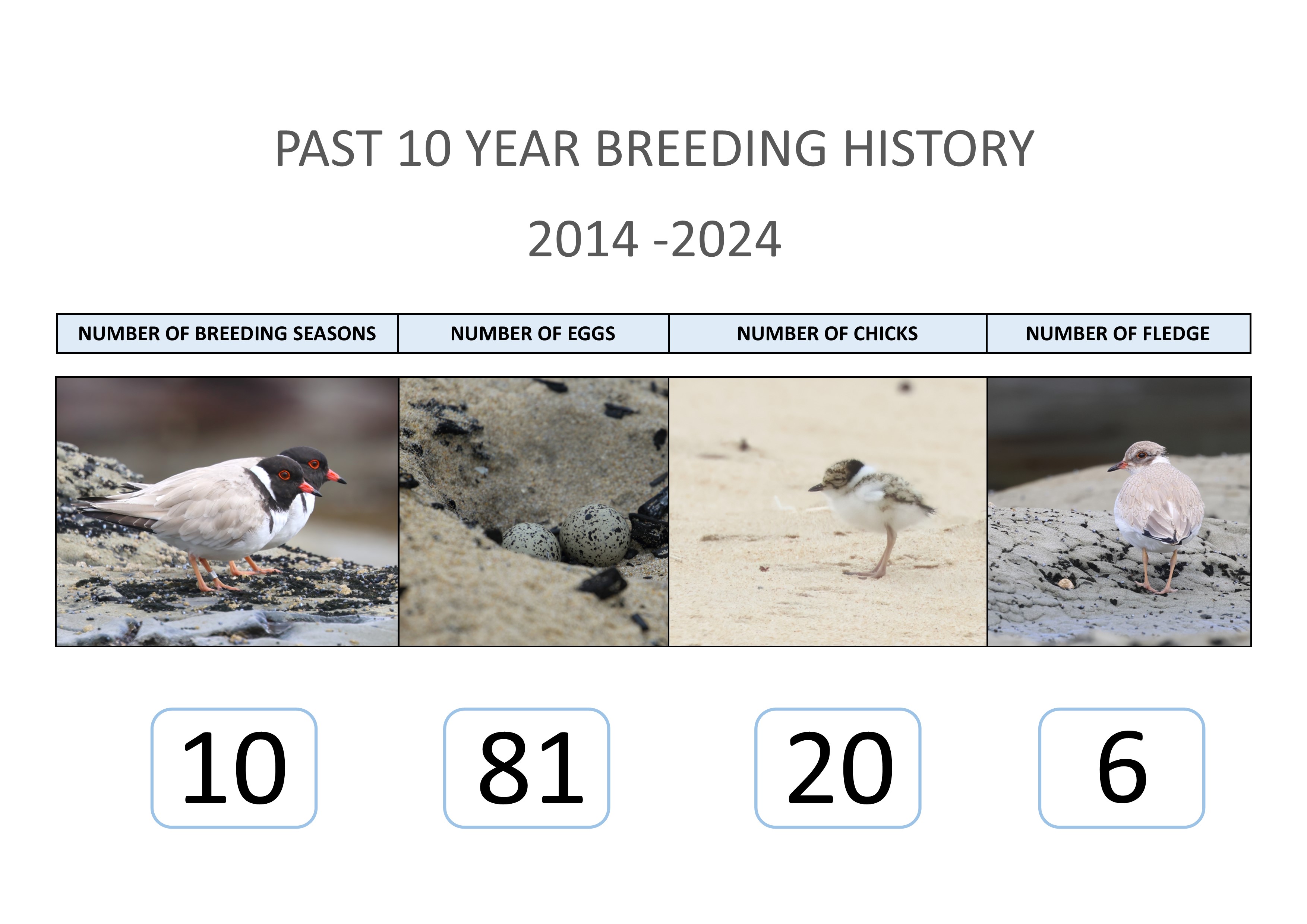 Small bays and rocky platforms west of Wilson Rd toward Harmers Haven ...